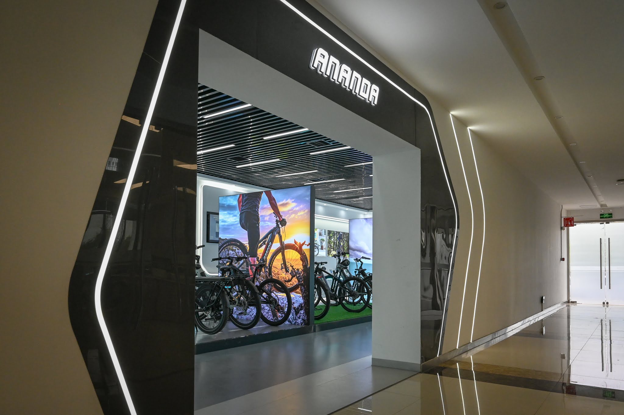 Inside Ananda: The Quiet Powerhouse of the E-Bike Revolution – RIDE ON